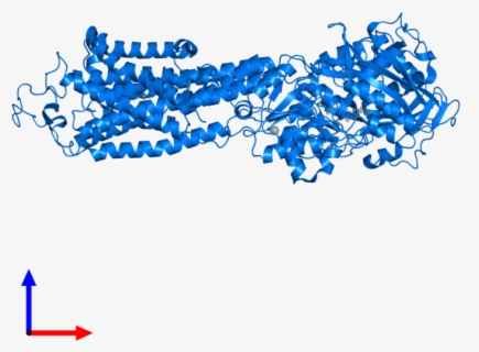 Rough Endoplasmic Reticulum , Free Transparent Clipart - ClipartKey
