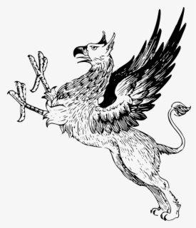 Transparent Gryphon Png - Mythical Creature Clip Art , Free Transparent ...