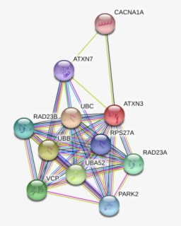 Atxn3 Protein - Illustration , Free Transparent Clipart - ClipartKey