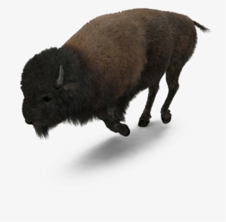 Buffalo Clipart Tribal - American Bison , Free Transparent Clipart ...