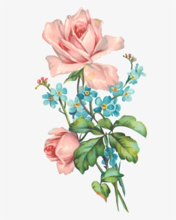 Transparent Vintage Roses Png - Pink Roses Png Transparent , Free ...