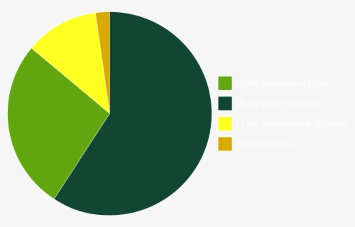 Pie Chart Of Enrollment Of Students By Ethnic Identity - Ducks ...
