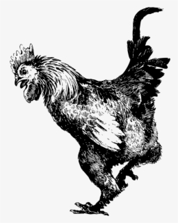 Transparent Bantam Chicken Clipart - Rooster , Free Transparent Clipart ...