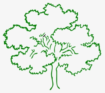 Oak Tree Green Outline Full Frame Clip Art - Outline Pictures Of Tree ...