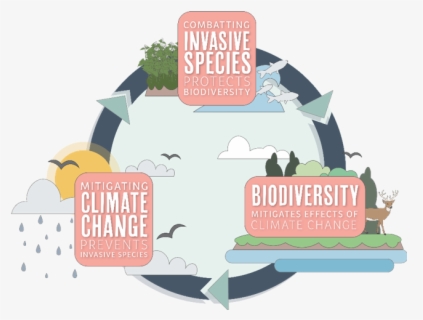 Sunny Clipart Temperate Climate - Illustration , Free Transparent ...