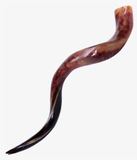 Free Shofar Clip Art with No Background - ClipartKey