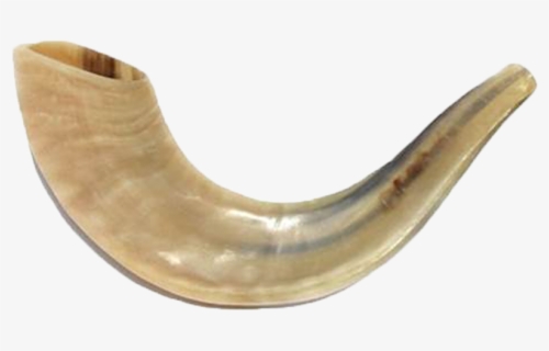 Free Shofar Clip Art with No Background - ClipartKey