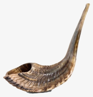 Free Shofar Clip Art with No Background - ClipartKey