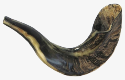 Free Shofar Clip Art with No Background - ClipartKey