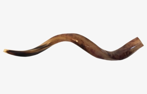 Free Shofar Clip Art with No Background - ClipartKey