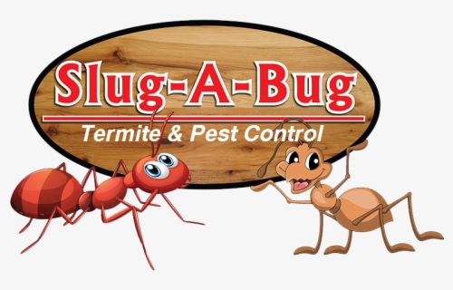 Slug A Bug Inc - Cartoon , Free Transparent Clipart - ClipartKey