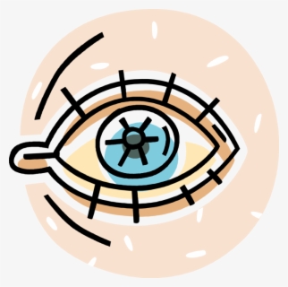 Vector Illustration Of Human Eye Provides Sight - Circle , Free ...
