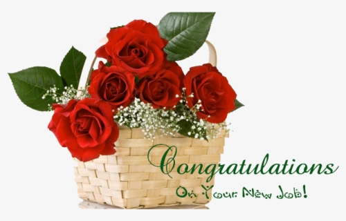 Congrats Wallpaper - Happy Rose Day Friends , Free Transparent Clipart ...