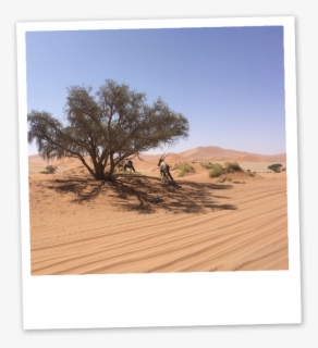 Erg , Free Transparent Clipart - ClipartKey