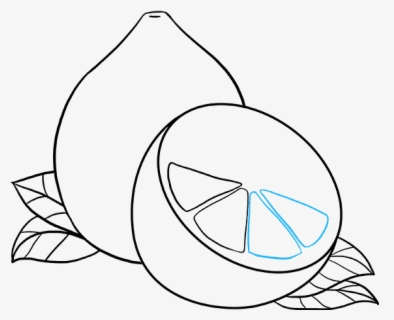 Drawing Lemons Lemon Wedge - Lemon Sketch Png , Free Transparent ...