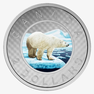Canada Coin Shark , Free Transparent Clipart - ClipartKey
