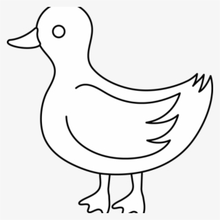 Download Duck Clipart Black And White - Batak Clipart - ClipartKey