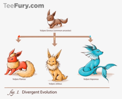 Cute Eevee Evolution , Free Transparent Clipart - ClipartKey