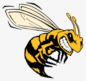 Transparent Killer Bee Clipart - Goonswarm Federation , Free ...