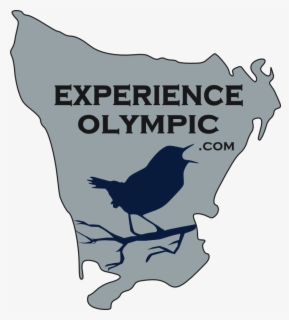 Washington State Outline Png , Free Transparent Clipart - ClipartKey