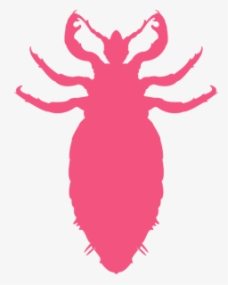 Free Lice Clip Art with No Background - ClipartKey