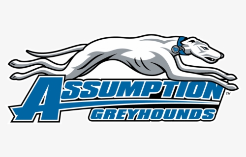 Assumption College Football Logo Clipart , Png Download - Assumption ...