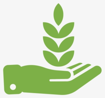 Picture - Value Added Services Icon , Free Transparent Clipart - ClipartKey