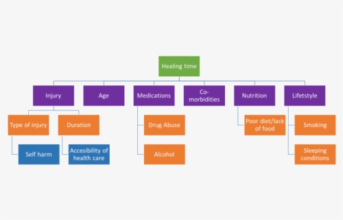 Work Breakdown Structure For Hospital Management System , Free ...