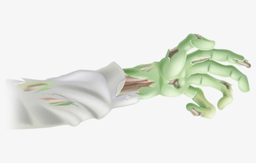 Transparent Zombie Arm Png - Board Game , Free Transparent Clipart ...