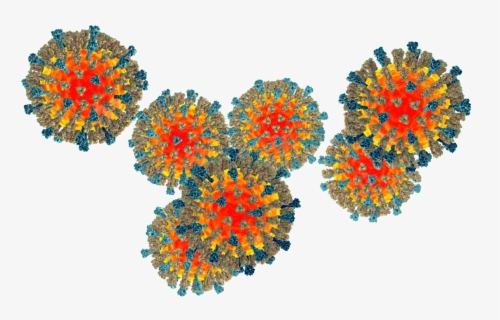 Measles , Free Transparent Clipart - ClipartKey