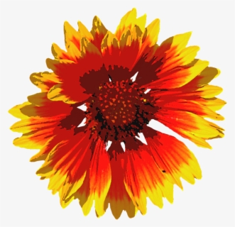 Logo Bunga Mekar Png , Free Transparent Clipart - ClipartKey