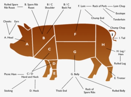 Pig Clipart Butcher - Cuts Of Pork Png , Free Transparent Clipart ...