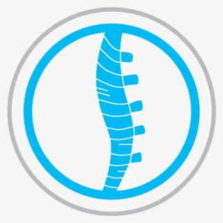 Low Back Pain - Spinal Surgery Icon , Free Transparent Clipart - ClipartKey