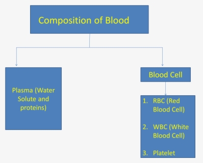 Active Plasma B Cell , Free Transparent Clipart - ClipartKey