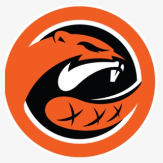 Osu Beavers Logo Png Transparent - Osu Beavers , Free Transparent ...