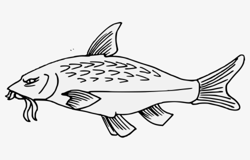 Fish Heraldry , Free Transparent Clipart - ClipartKey
