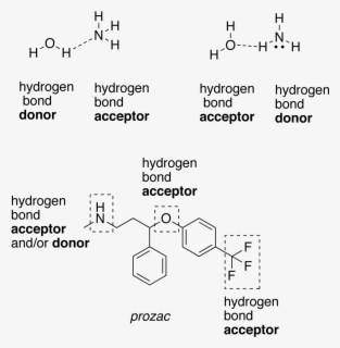 Transparent Water Molecule Png - Hydrogen Bond Water Properties , Free ...