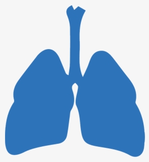 74874 - Blue Lungs Clip Art , Free Transparent Clipart - ClipartKey