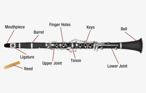 Free Clarinets Clip Art with No Background - ClipartKey