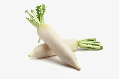 Mooli Png Photos Png Icon - Daikon Radish Png , Free Transparent ...