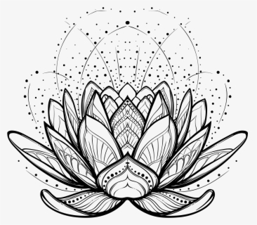 Lotus Clipart Line Drawing - Lotus Flower Top View Drawing , Free ...