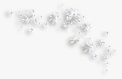 Free White Flower Clip Art with No Background - ClipartKey