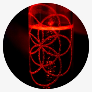 Transparent Red Particles Png - Circle , Free Transparent Clipart ...