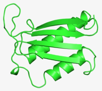 Macrophage Cartoon - T Cell Receptor Cartoon , Free Transparent Clipart ...