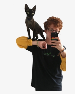 Fig Png Image Background - Turkey Figs , Free Transparent Clipart ...