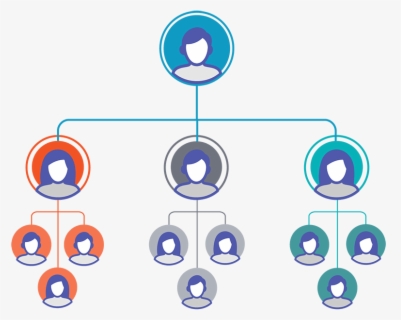 Animation Organizational Chart Gif , Free Transparent Clipart - ClipartKey