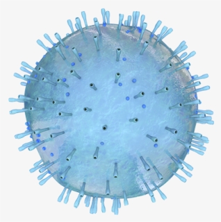 Diasorin Molecular Simplexa® Group A Strep Direct Kit - Streptococcus ...