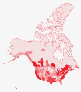 Bed Bug Map Canada , Free Transparent Clipart - ClipartKey