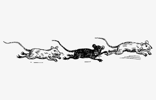 Transparent White Rat Png - Illustration , Free Transparent Clipart ...