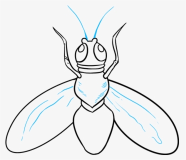 Clipart - Gnat Drawing - Insect Flies Clip Art Black And White , Free ...